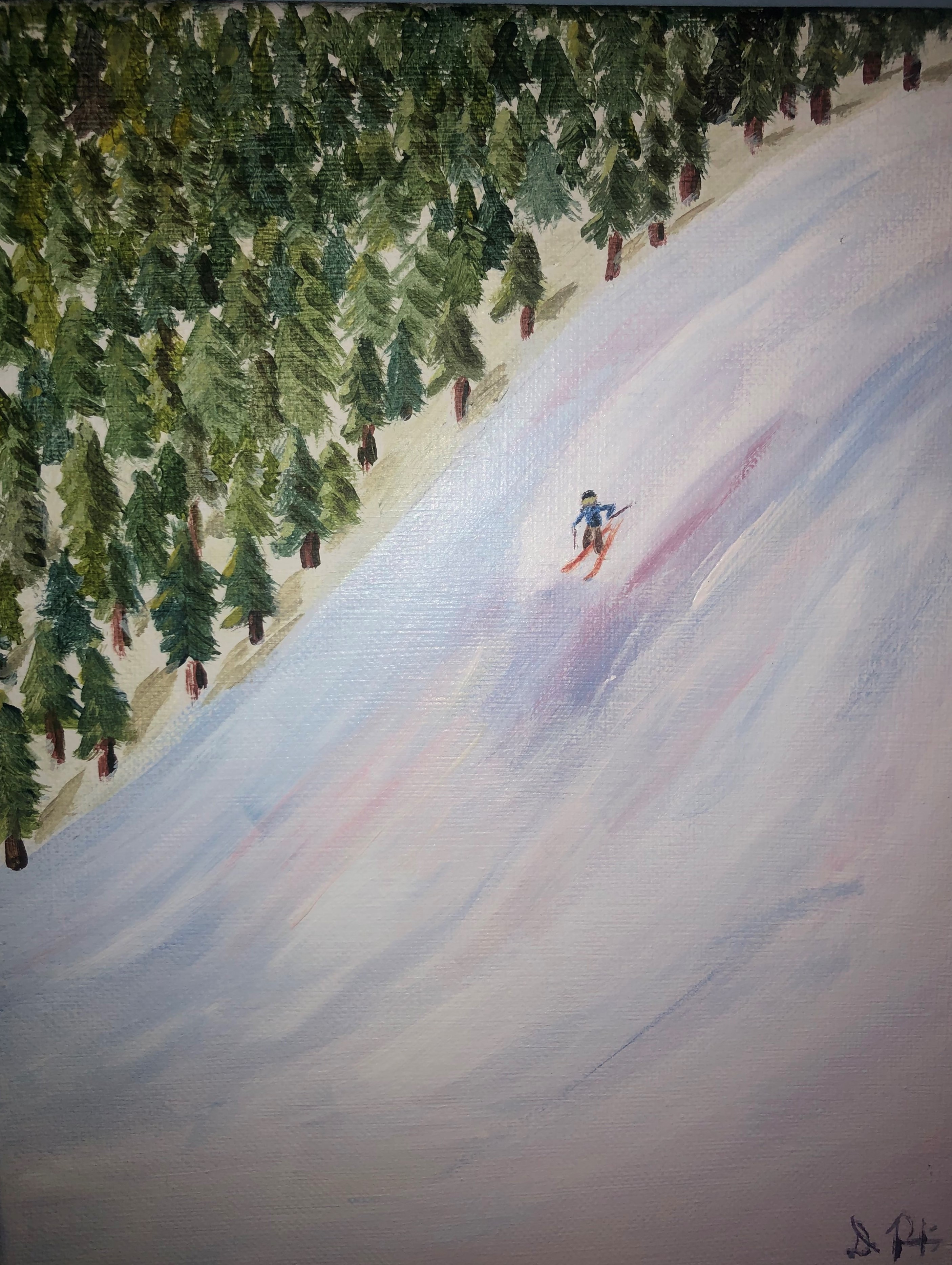 Dan Perkins - Software Developer