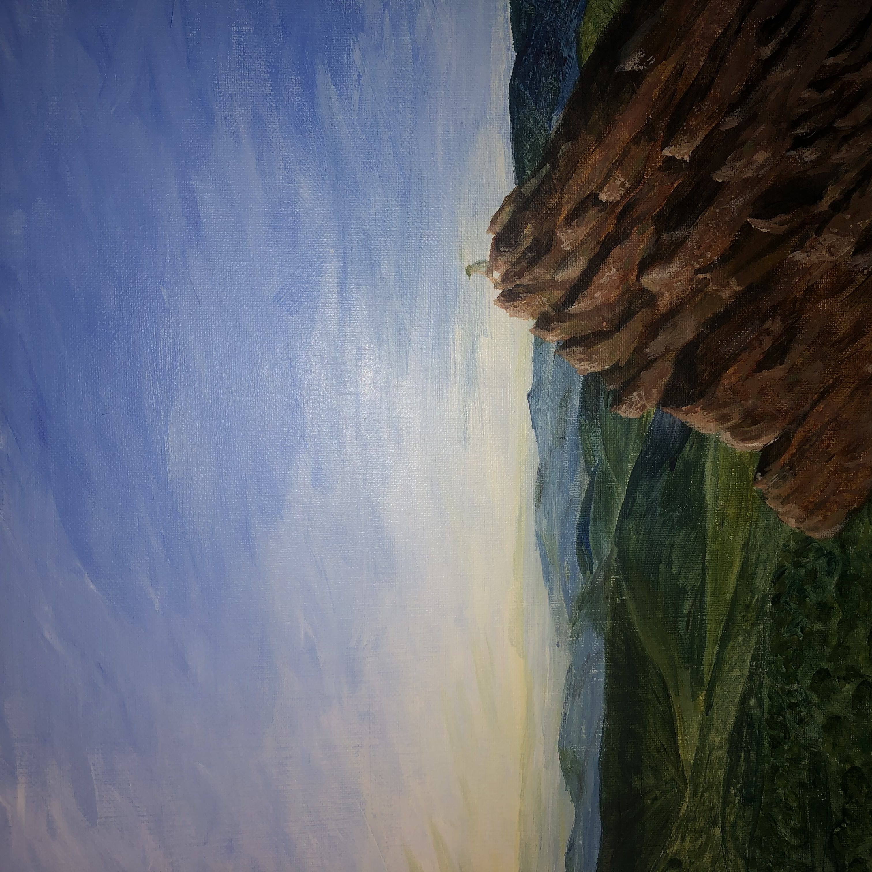 Dan Perkins - Software Developer