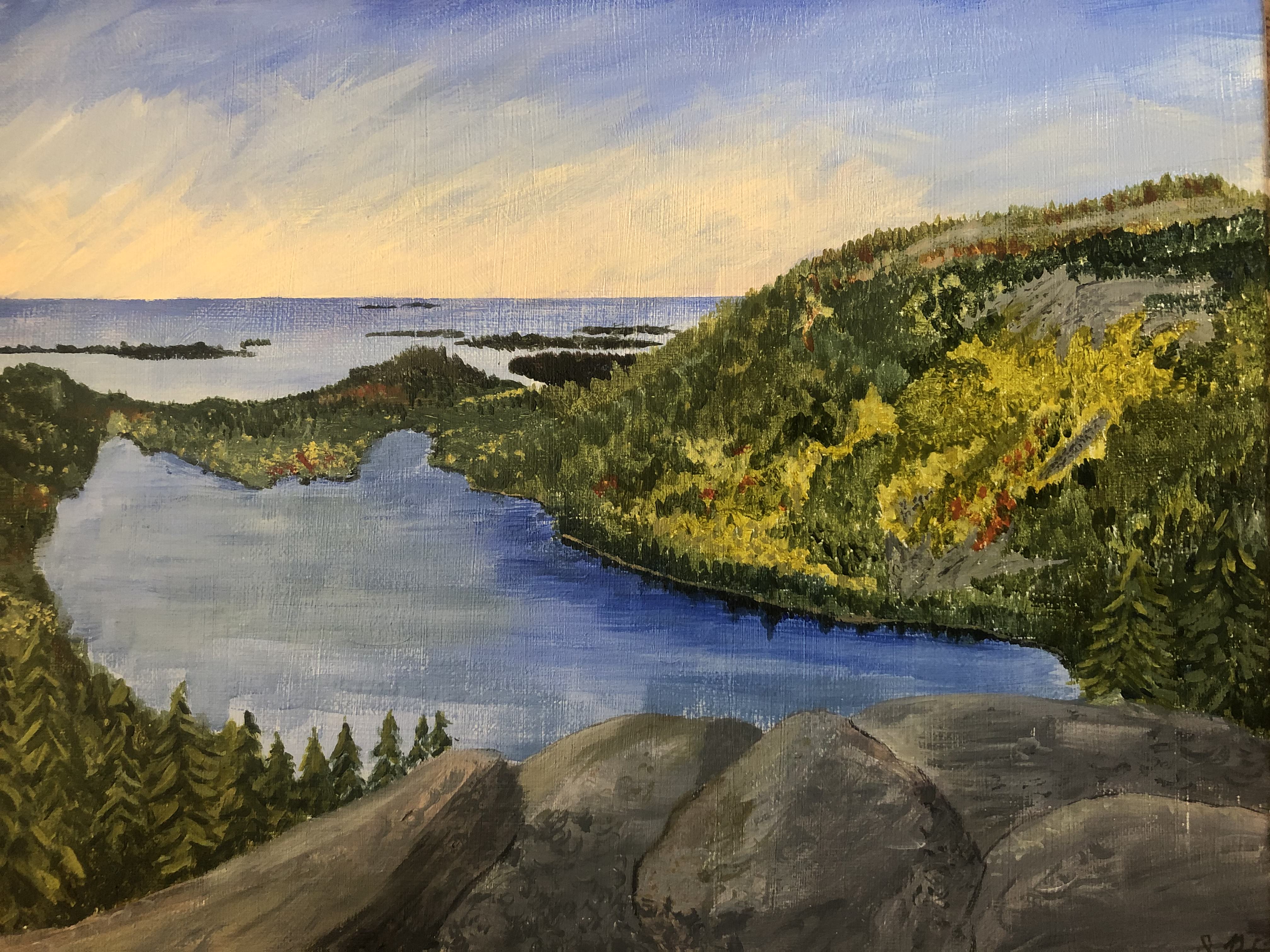 Dan Perkins - Software Developer